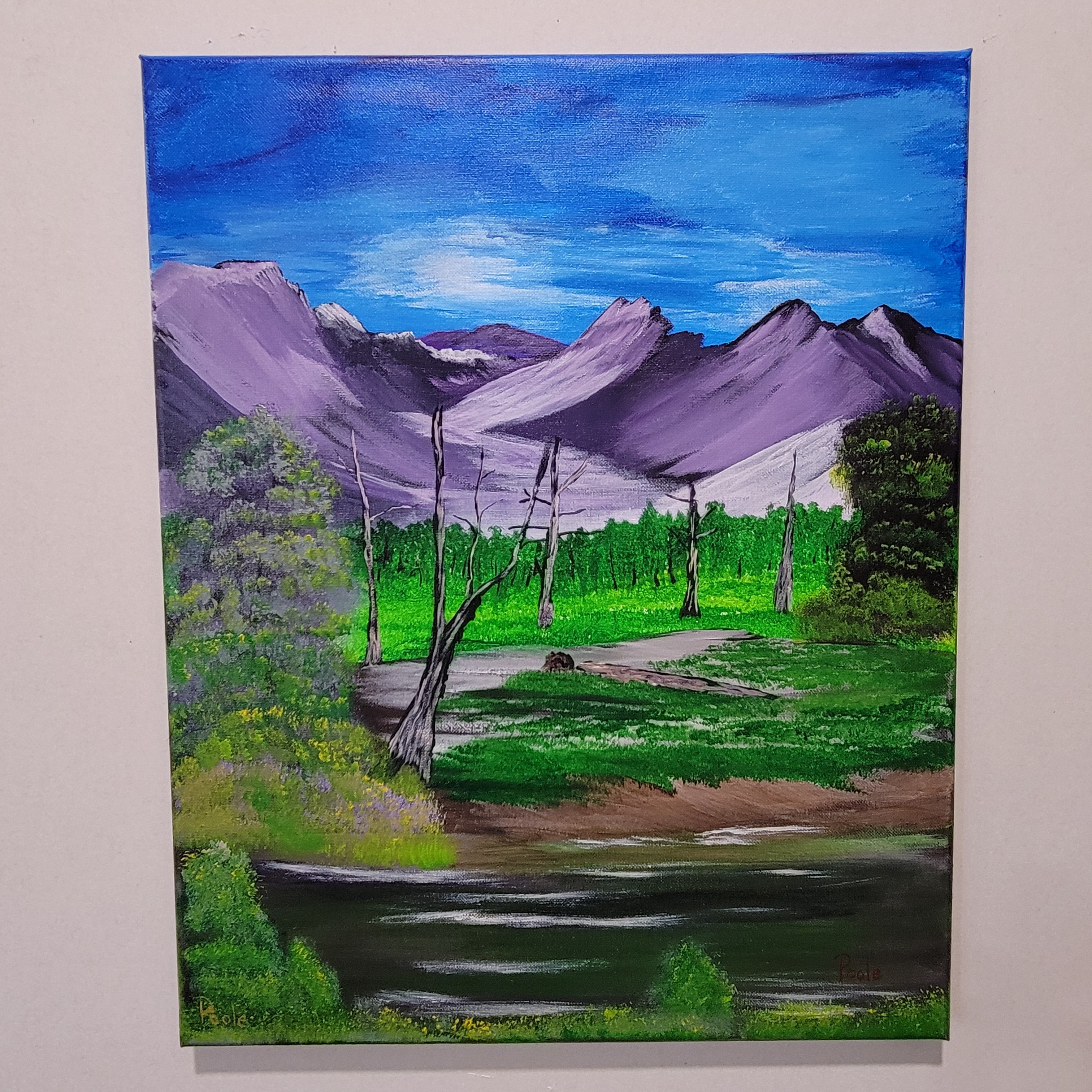 Art From Ronnie Poole – ArtbyAmyBridges